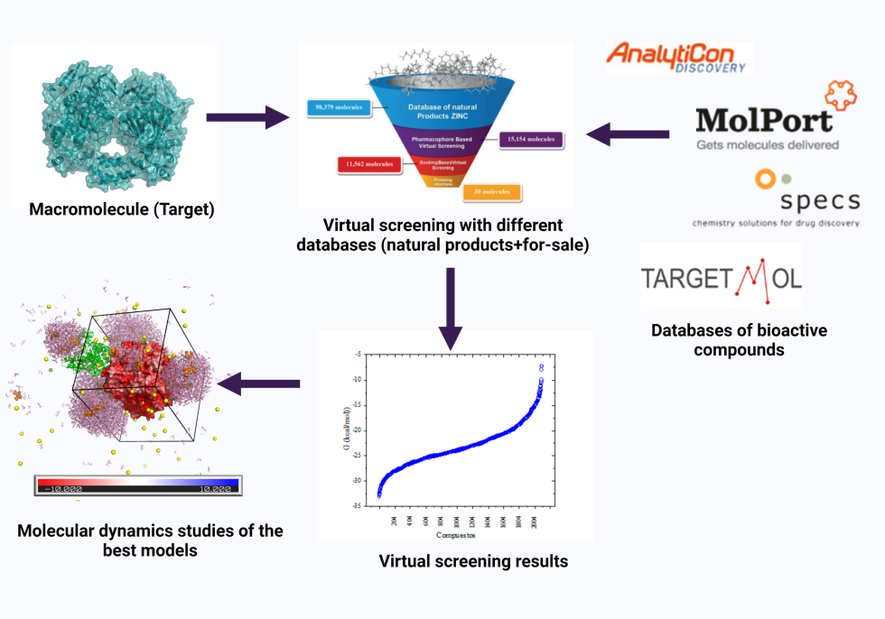Screening Virtual | Modelaje Molecular